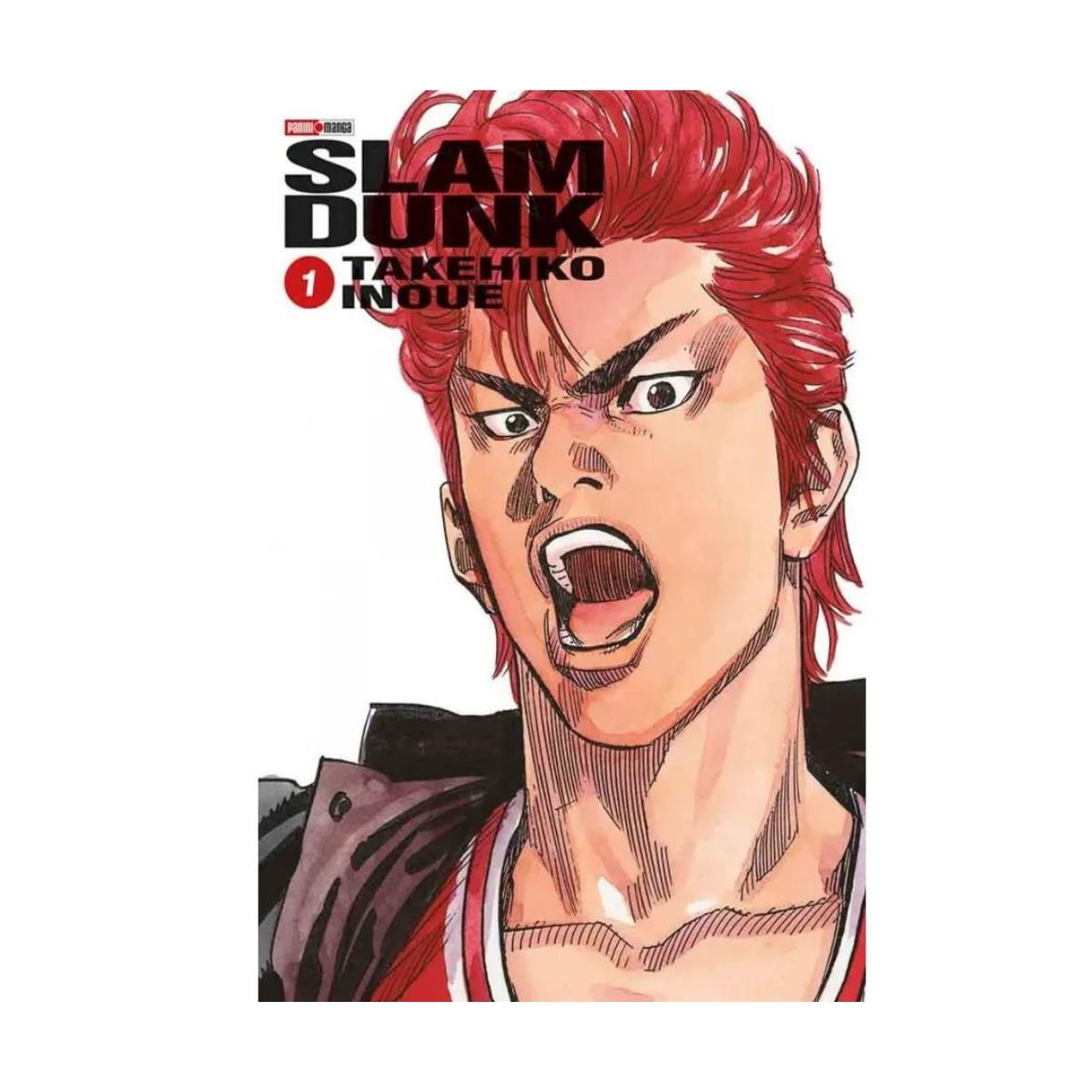 Slam Dunk Manga Panini Anime Tomo A Elegir Español